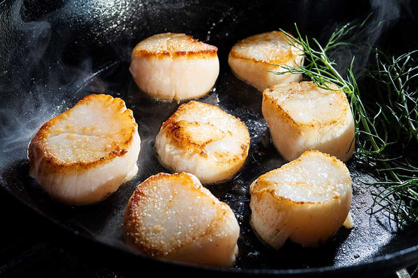 Wild Sea Scallops | Wild Tide Seafoods